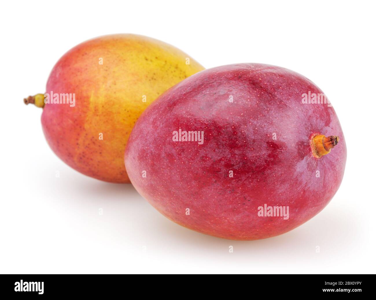 Two mangoes isolated on white background with clipping path Stock Photo ...