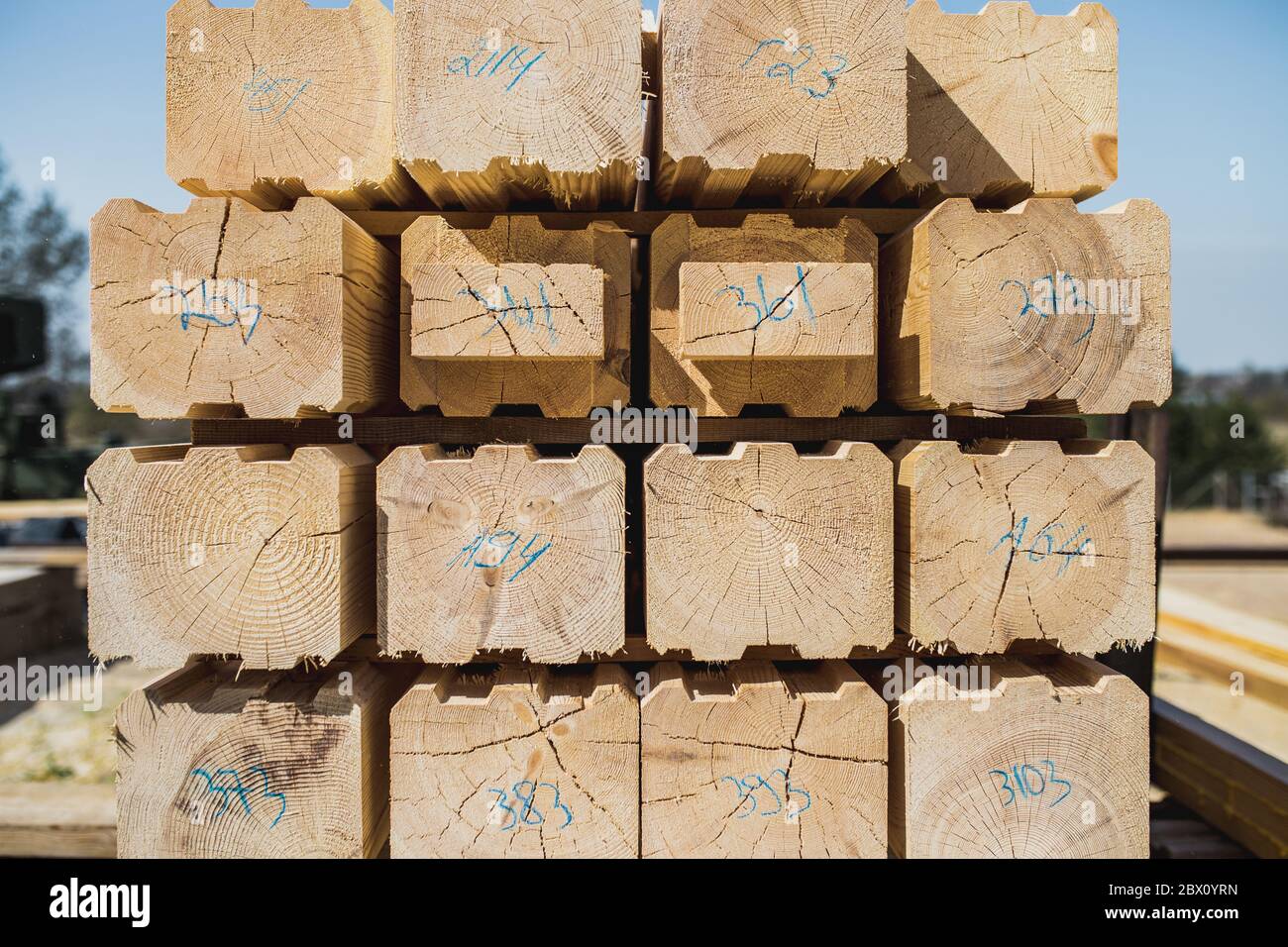 Stacked timber finished products - sawmill - production of glued ...