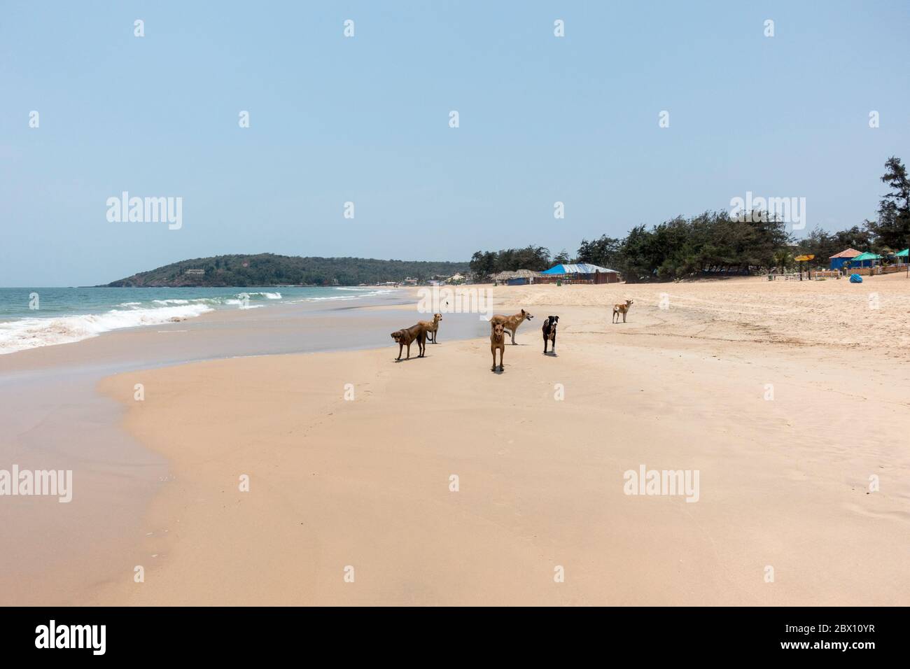 Hungry beach hi-res stock photography and images - Alamy
