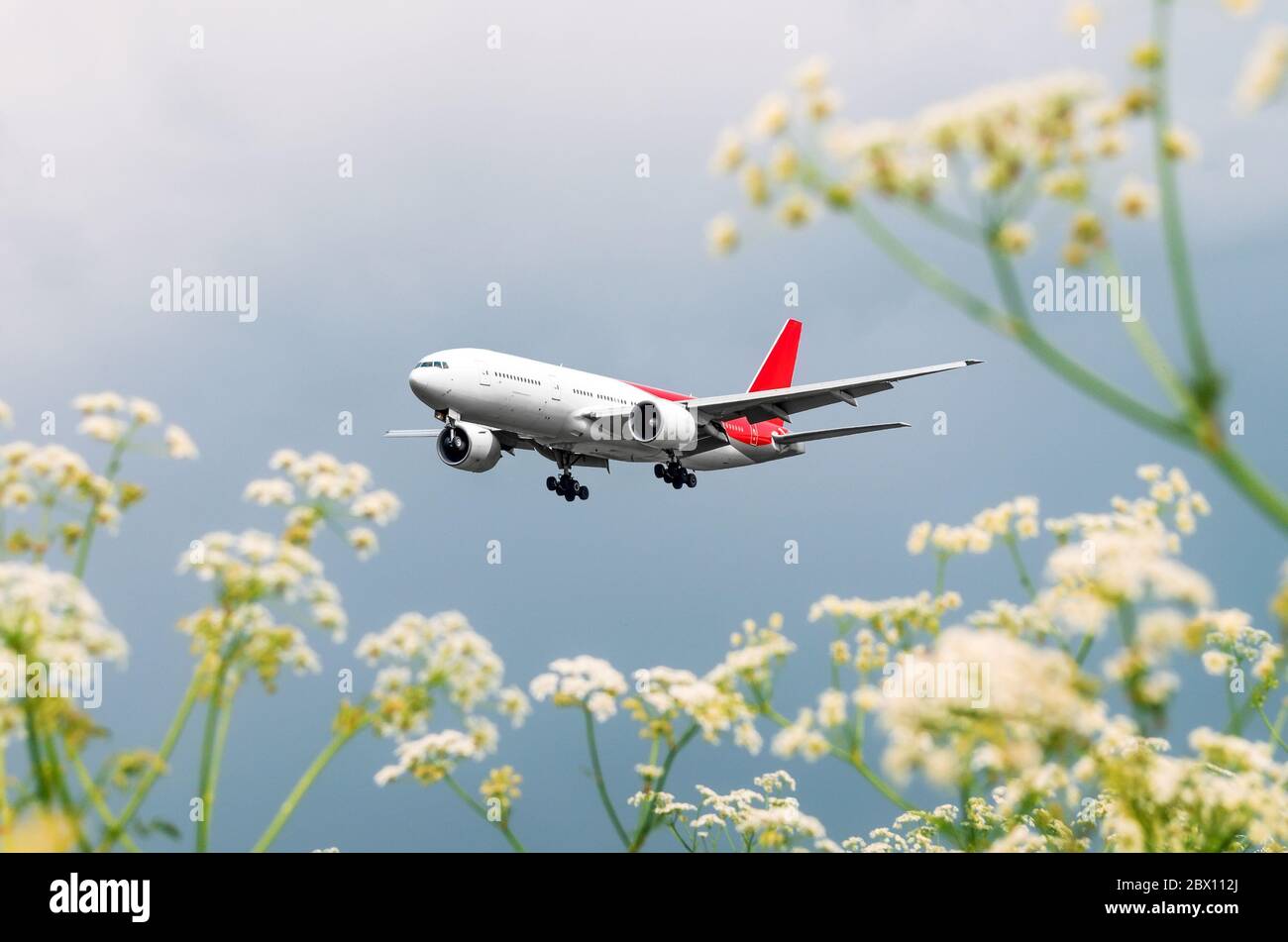 Passenger commercial airplane flies over flower fields at the airport ...