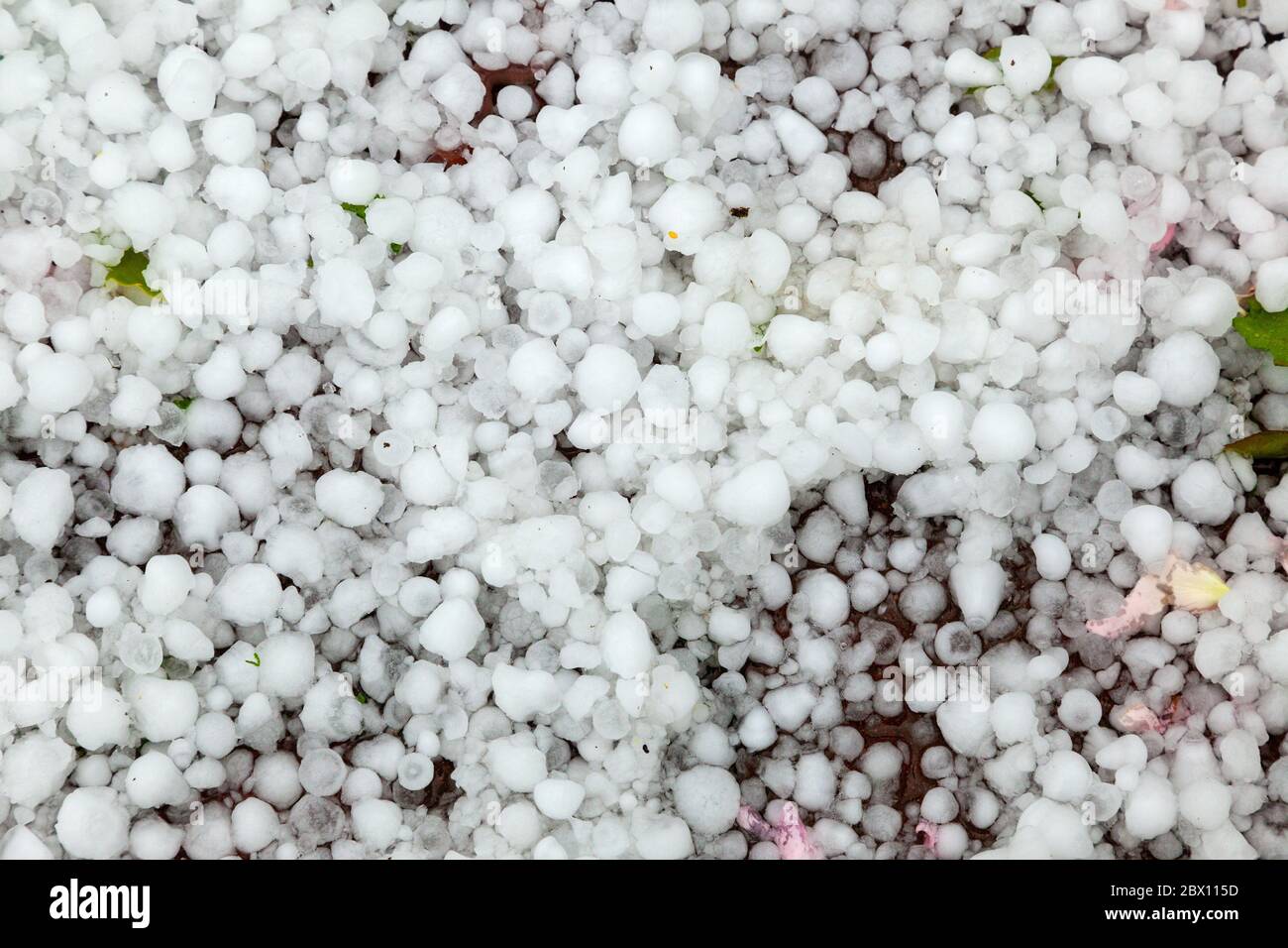 Hailstone closeup hi-res stock photography and images - Alamy