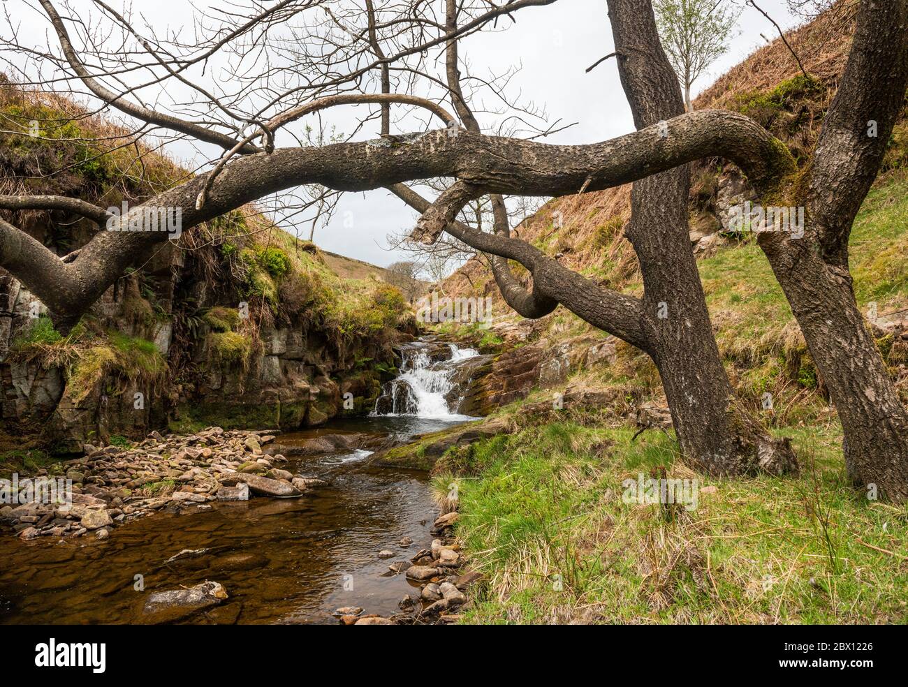 River Dane waterfall,Peak District National Park ,Stafford-shire ...