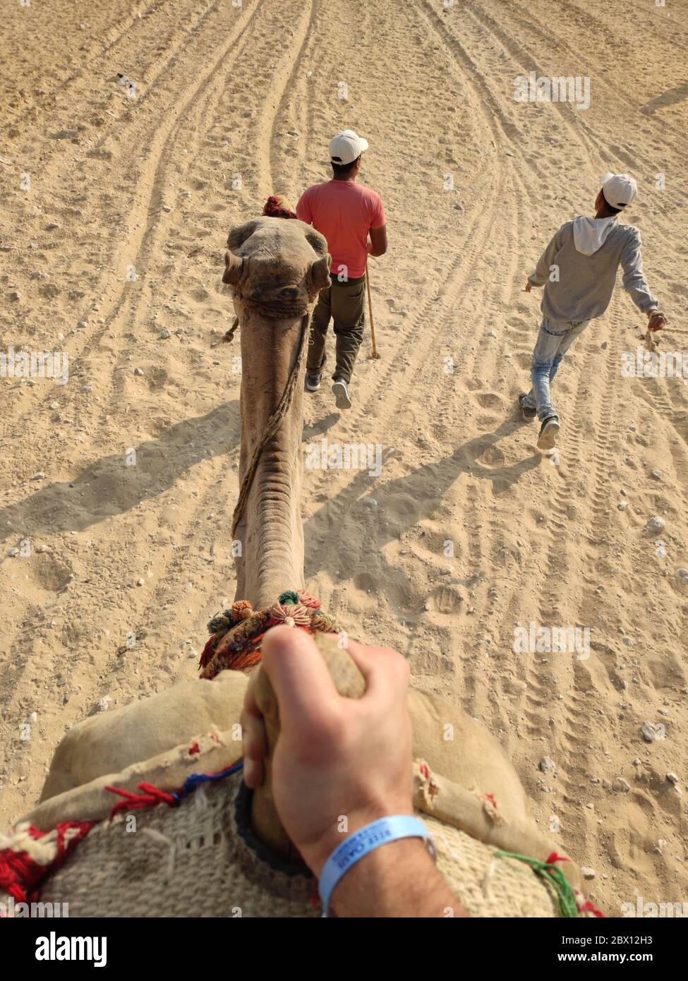 man rides a camel in the desert Stock Photo - Alamy