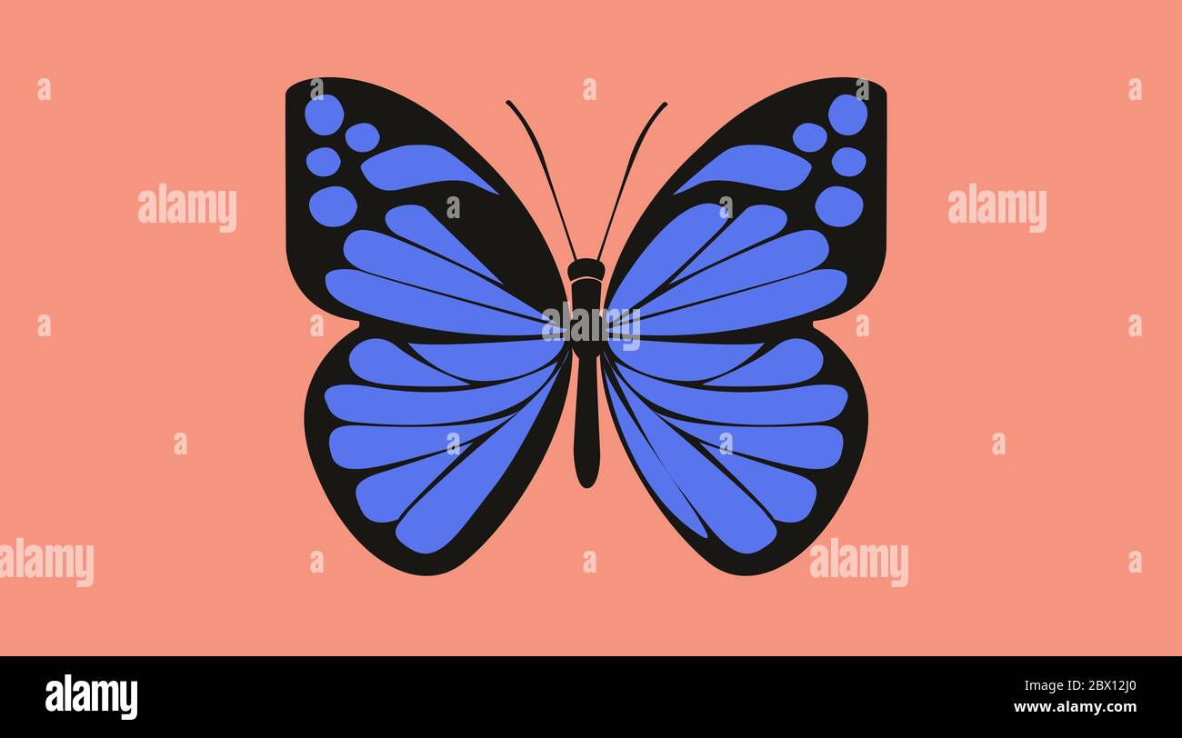 Vector Isolated Illustration of a Blue Butterfly Stock Vector Image ...