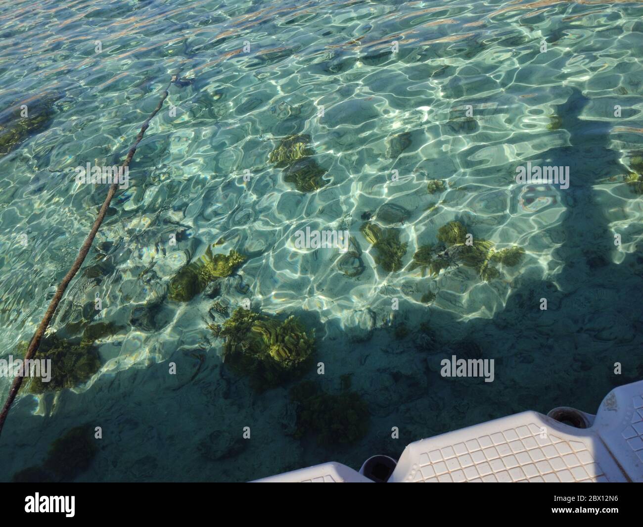 a clear sea water of the red sea Stock Photo - Alamy