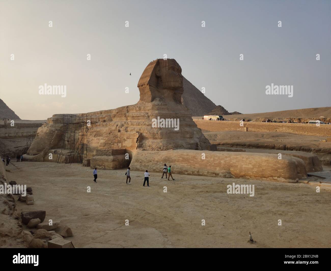egyptian sphinx in desert in giza Stock Photo - Alamy