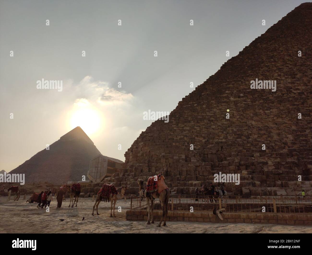 sunset on the background of Egyptian pyramids Stock Photo - Alamy