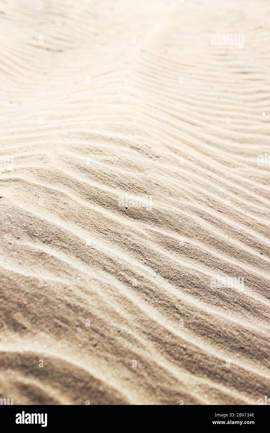 summer. sand background on the beach Stock Photo - Alamy