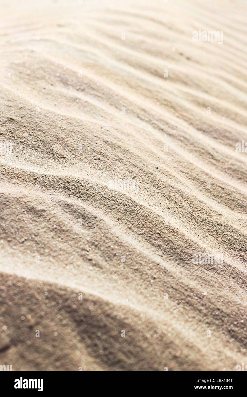 summer. sand background on the beach Stock Photo - Alamy
