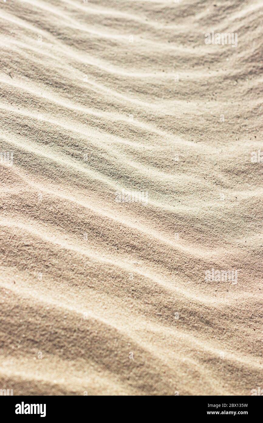 summer. sand background on the beach Stock Photo - Alamy