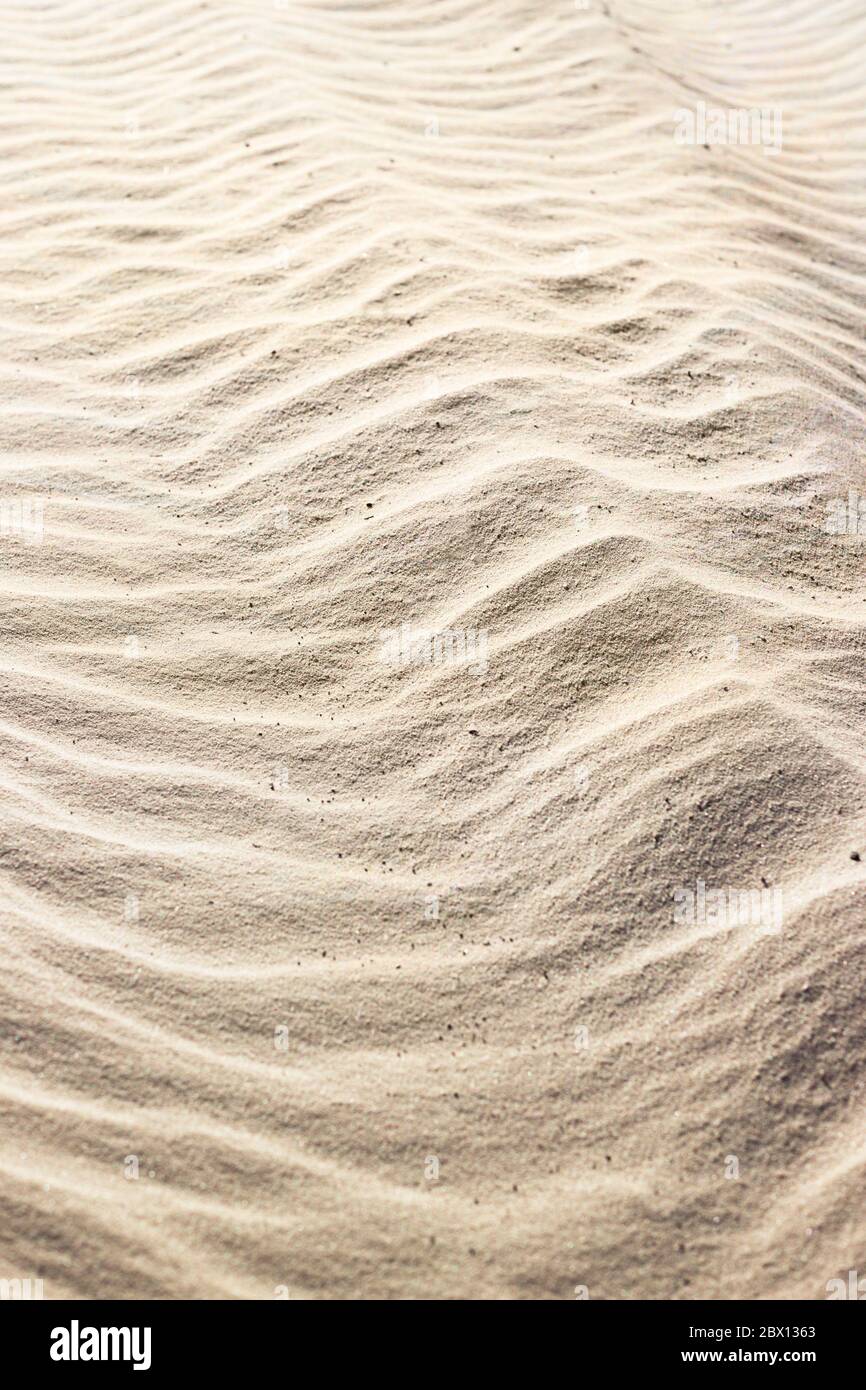 summer. sand background on the beach Stock Photo - Alamy