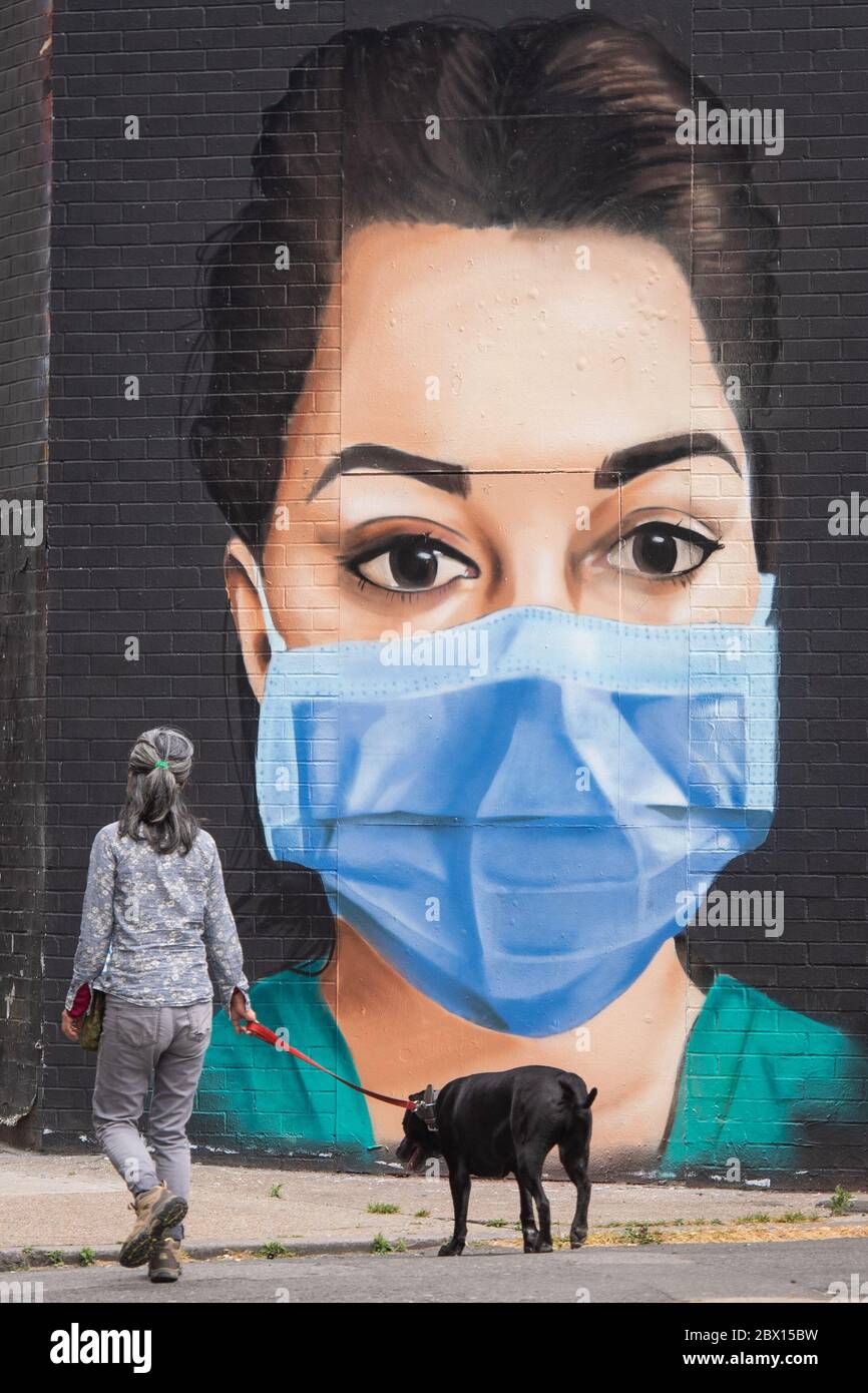 Dog ppe hi-res stock photography and images - Alamy