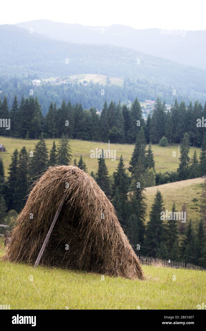 landscape. view of stacks with Karpatian hills at background. Vorokhta ...