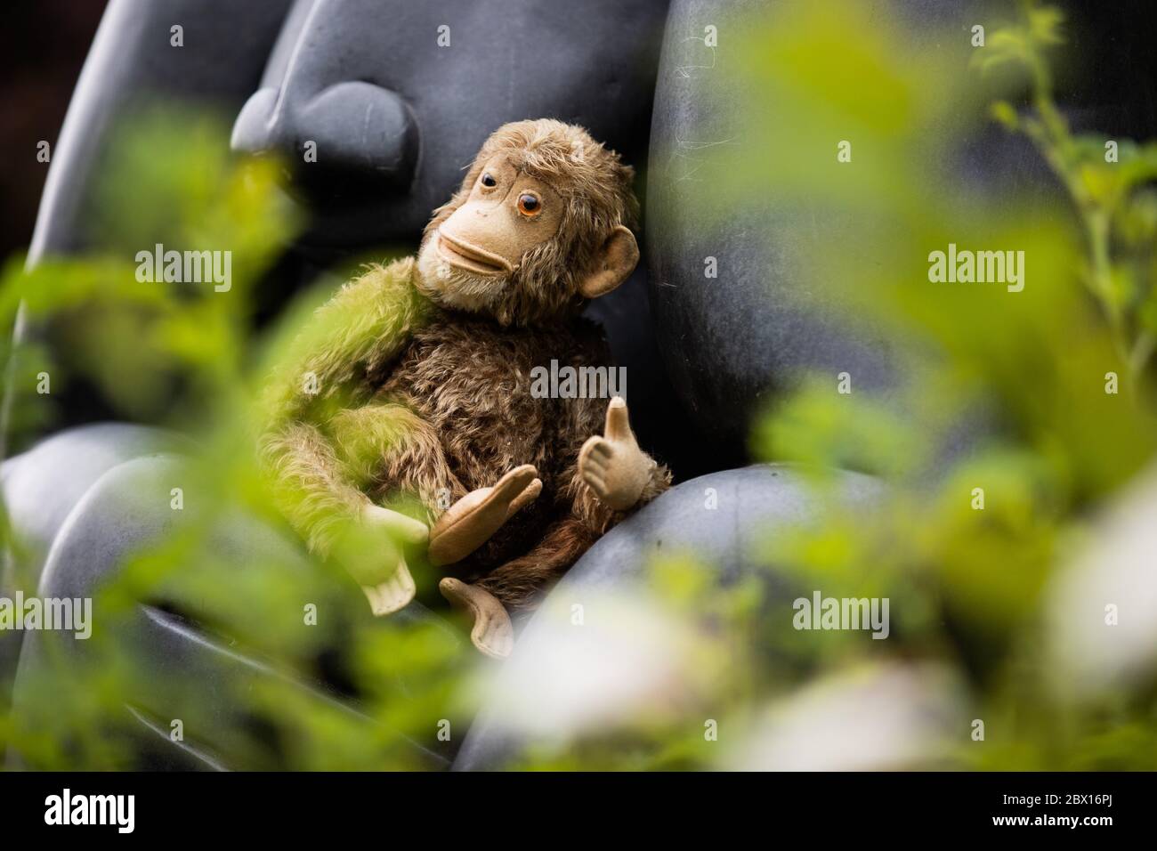 Monkey lies hi-res stock photography and images - Alamy