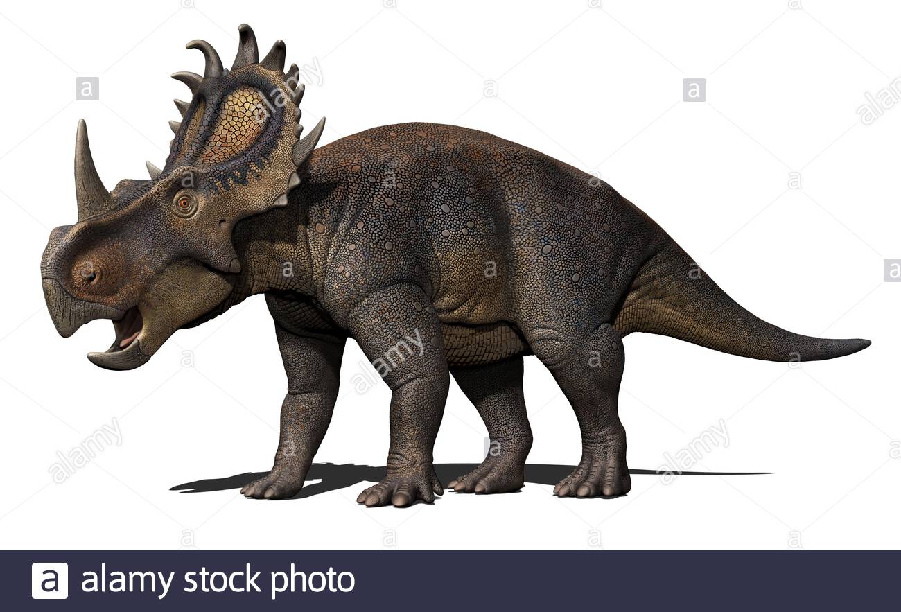 Prehistorical Animals High Resolution Stock Photography and Images - Alamy