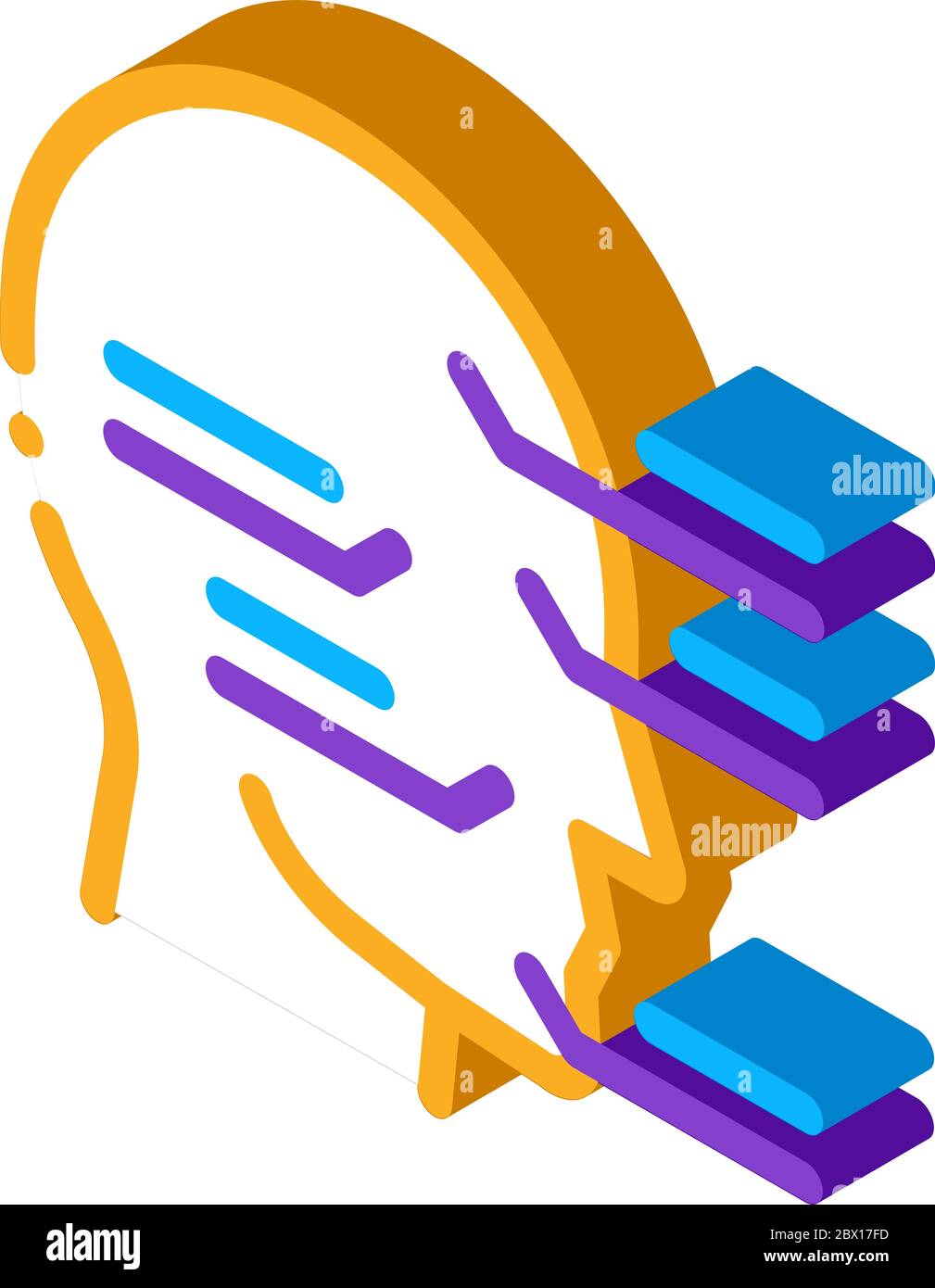 Face Injection Sites isometric icon vector illustration Stock Vector ...