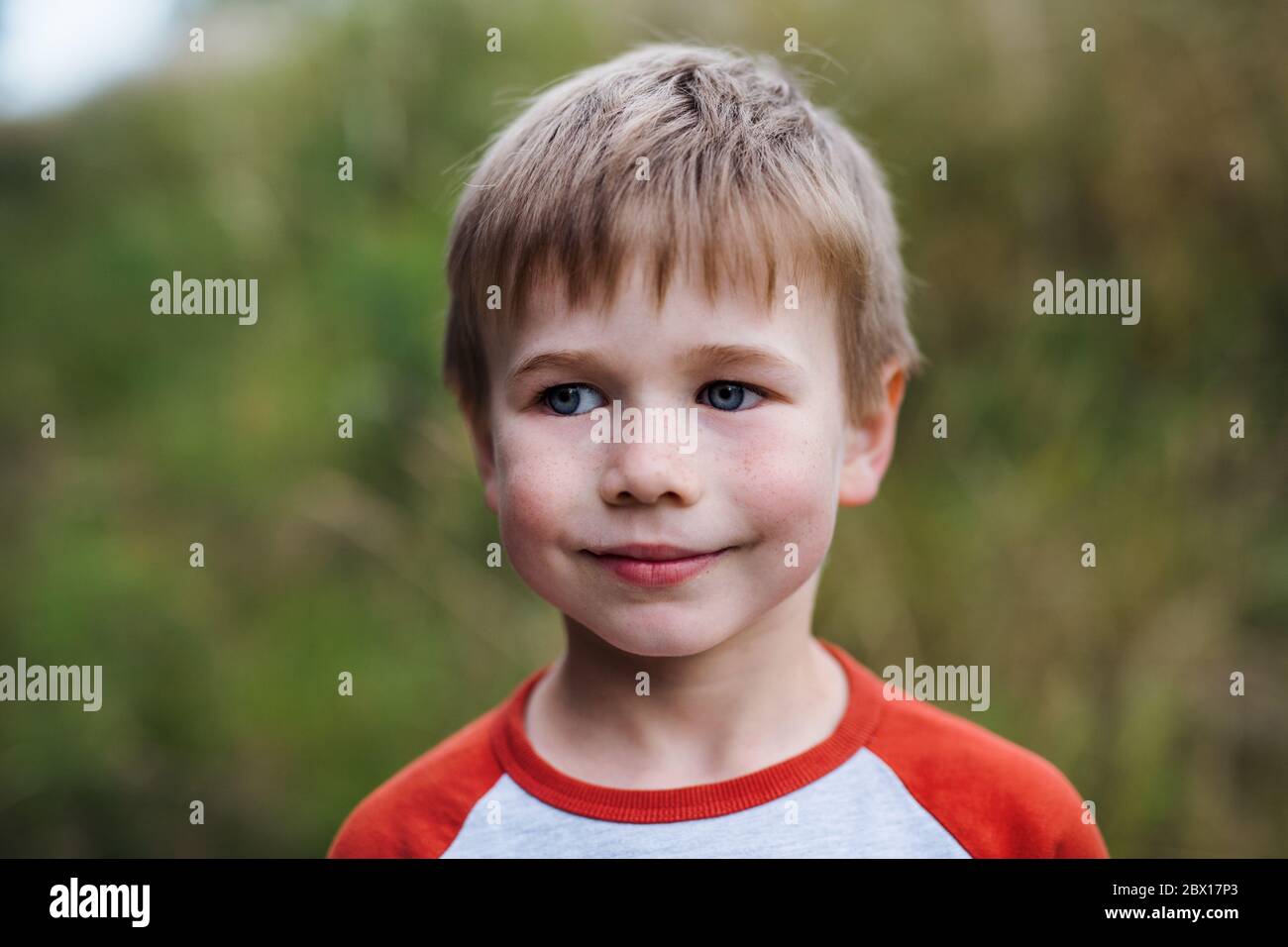 A portrait of school boy standing in nature, looking at camera Stock ...