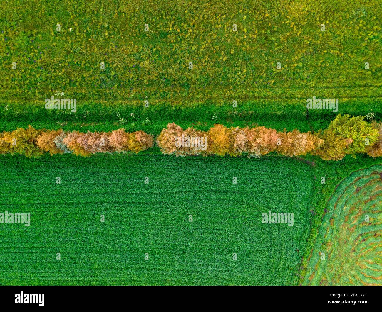 Grass field drone view hi-res stock photography and images - Alamy