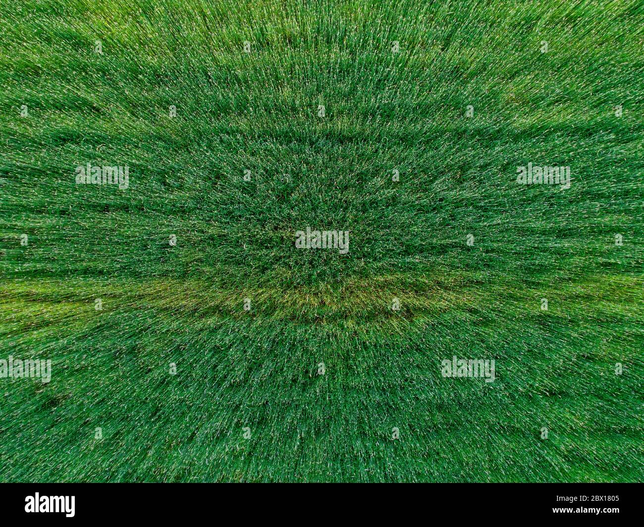 Grass field drone view hi-res stock photography and images - Alamy