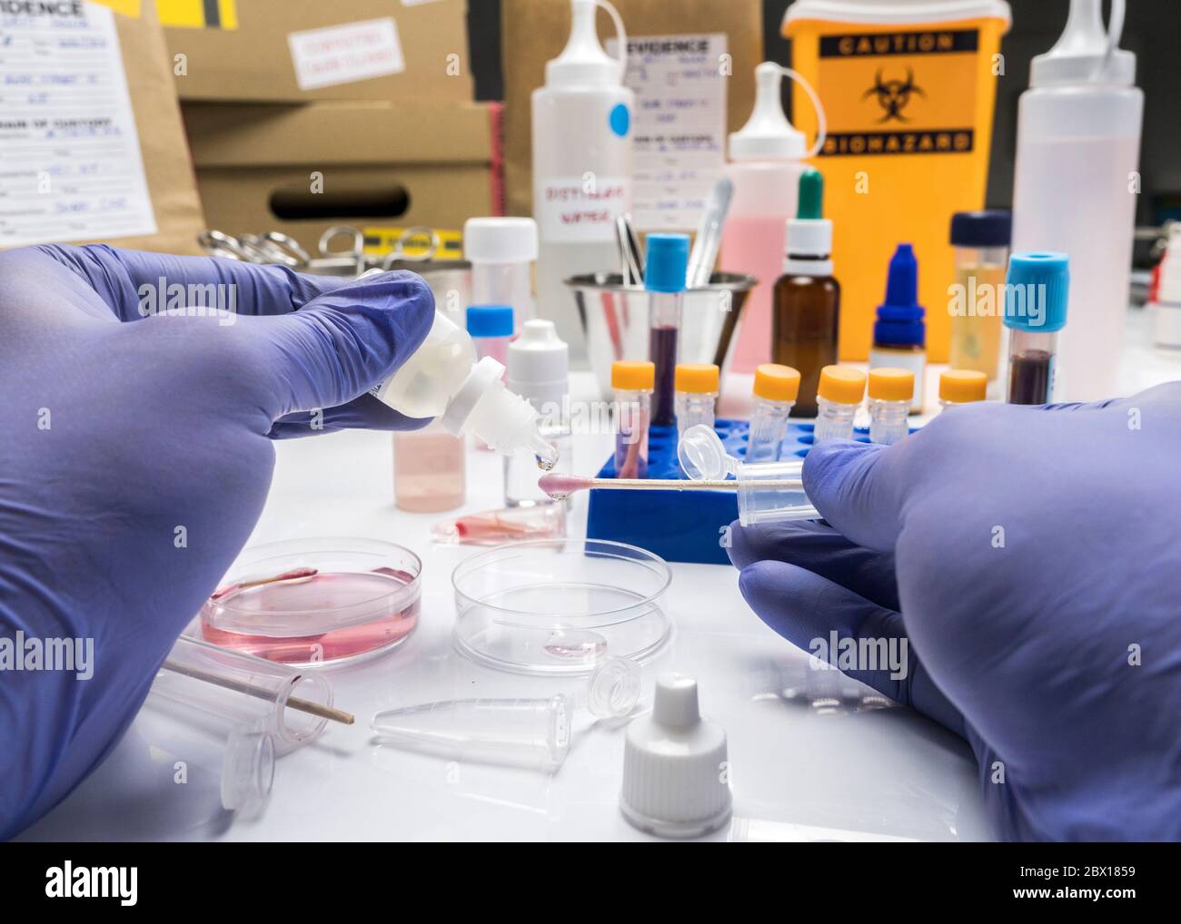 Specialized criminalistic police performs hematological analysis with ...