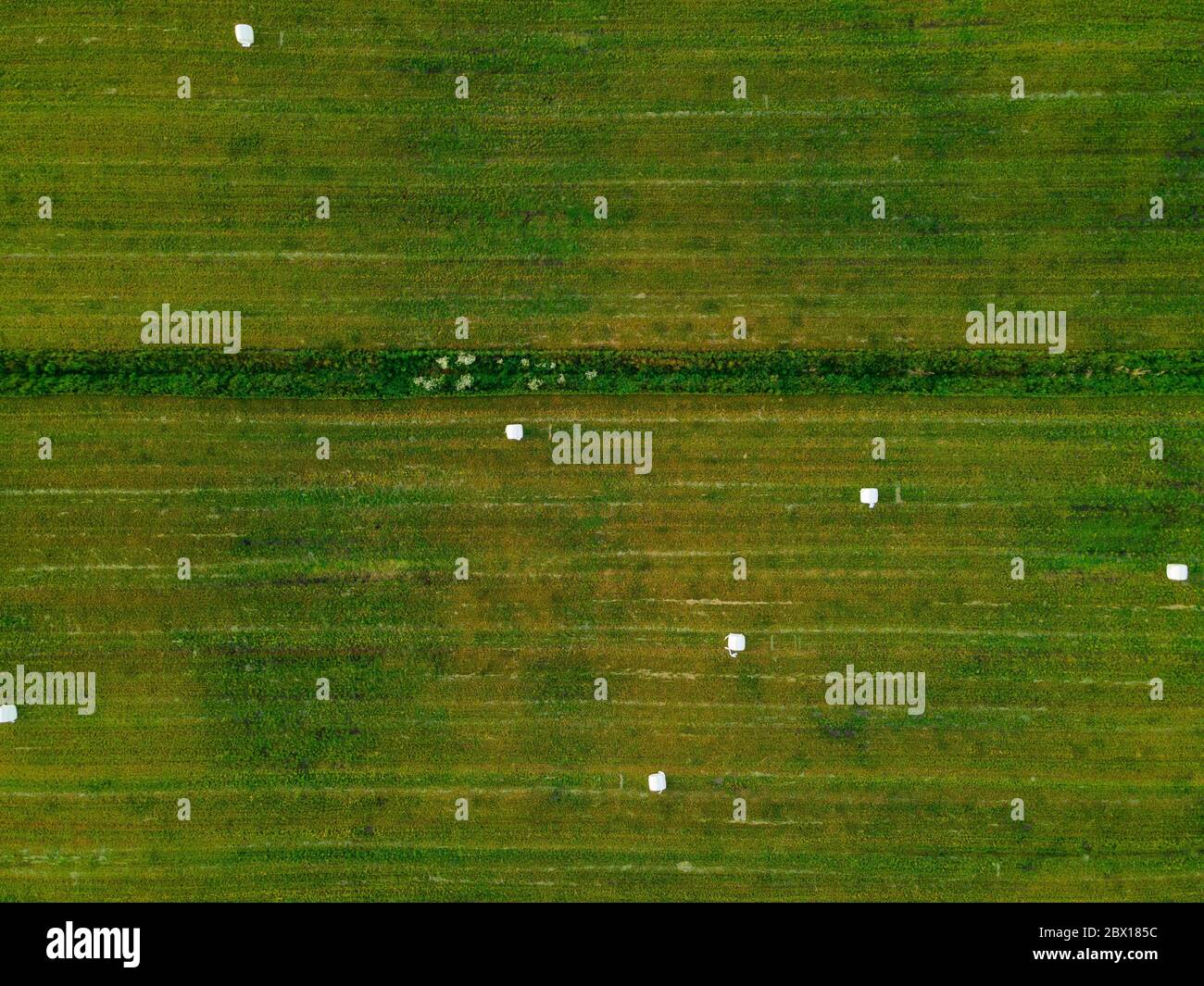 Grass field drone view hi-res stock photography and images - Alamy