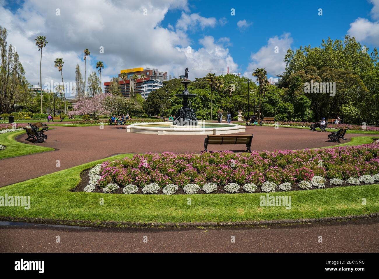park in Auckland New Zealand Stock Photo - Alamy