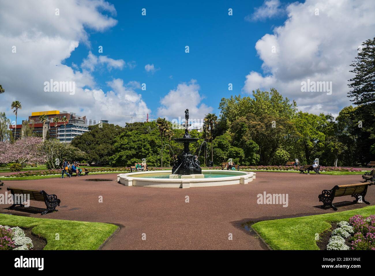 park in Auckland New Zealand Stock Photo - Alamy