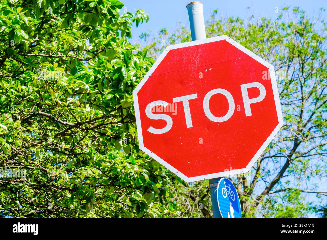 roadside red stop sign with trees in background Stock Photo - Alamy