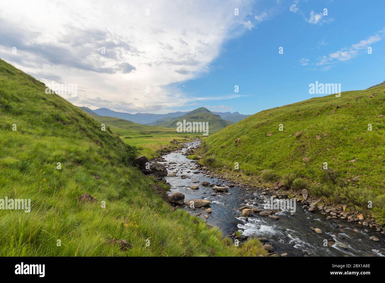 River flow from the mountain in the green valley Stock Photo - Alamy