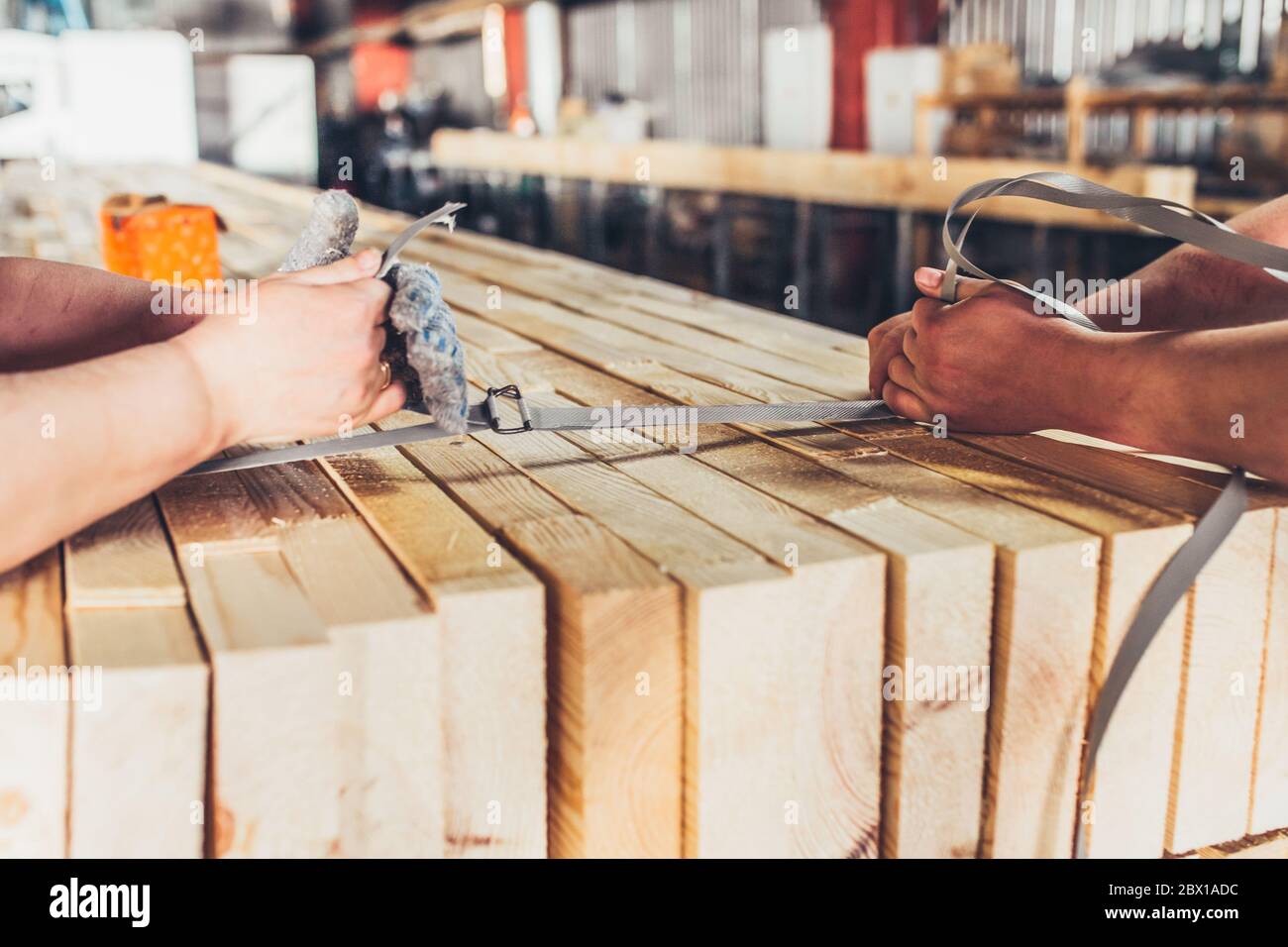 Production workshop for the production of timber for a wooden log house ...