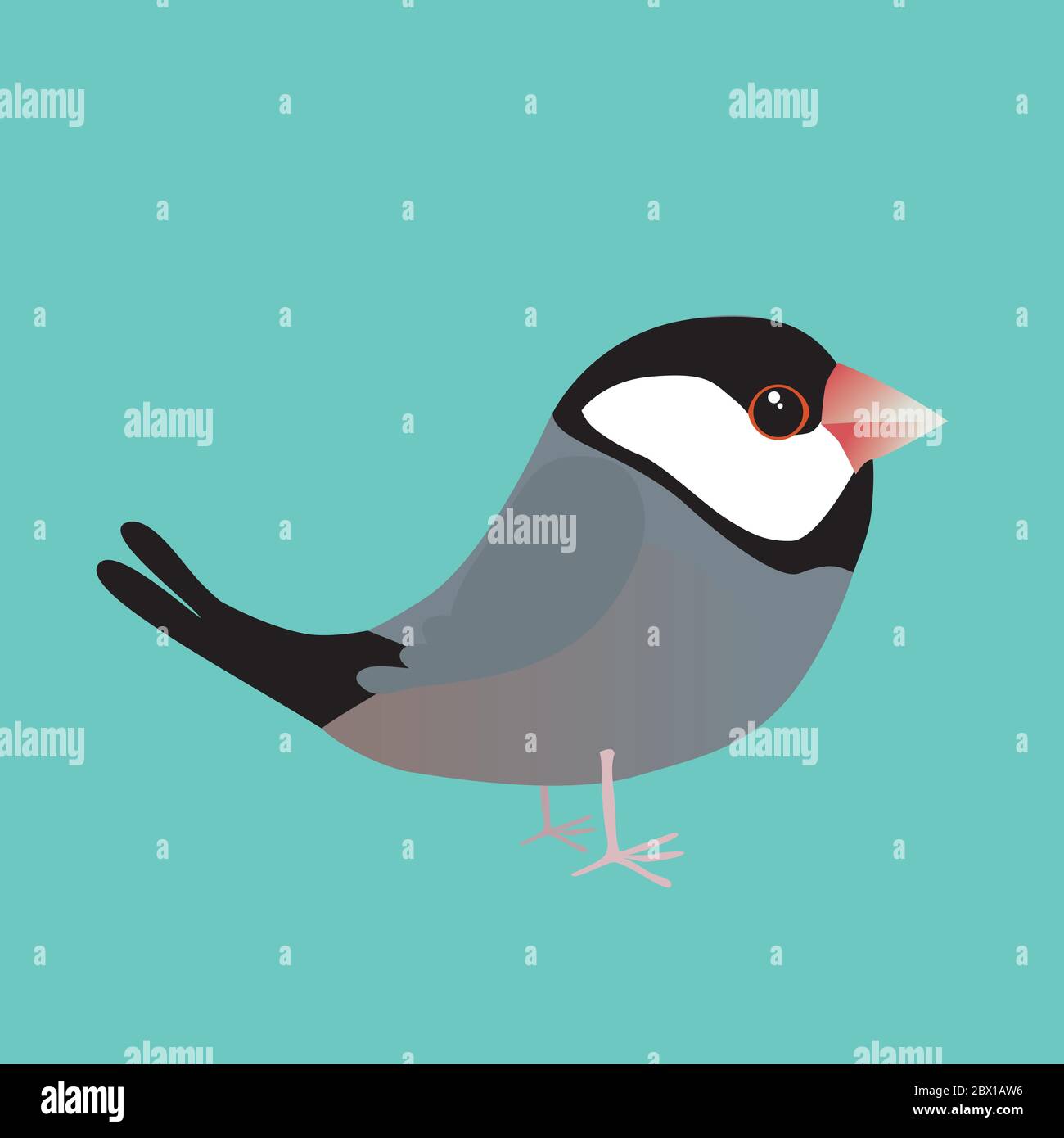 Rice sparrow Stock Vector Images - Alamy