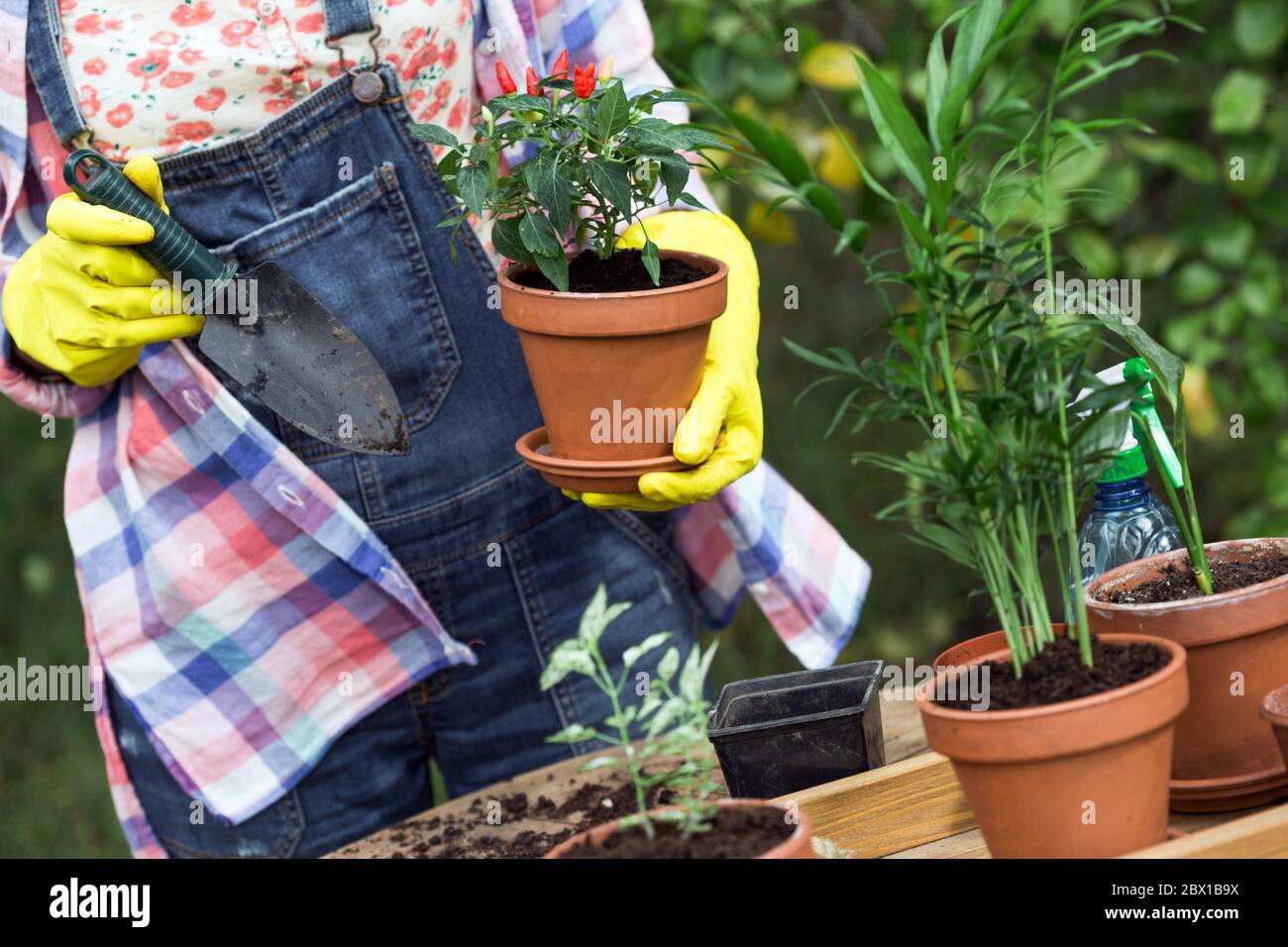 girl planting flowers in the garden. flower pots and plants for ...