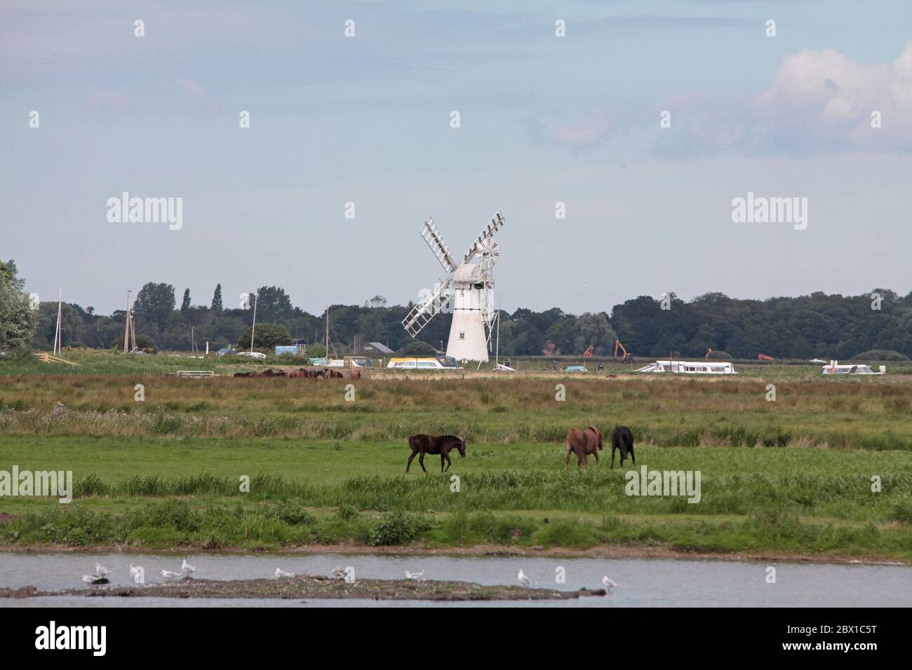 Norfolk broads windmill hi-res stock photography and images - Alamy