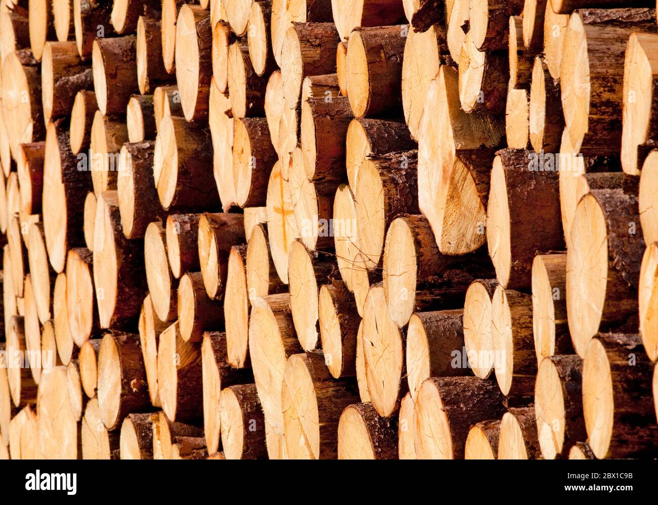 Stack of wood Stock Photo - Alamy