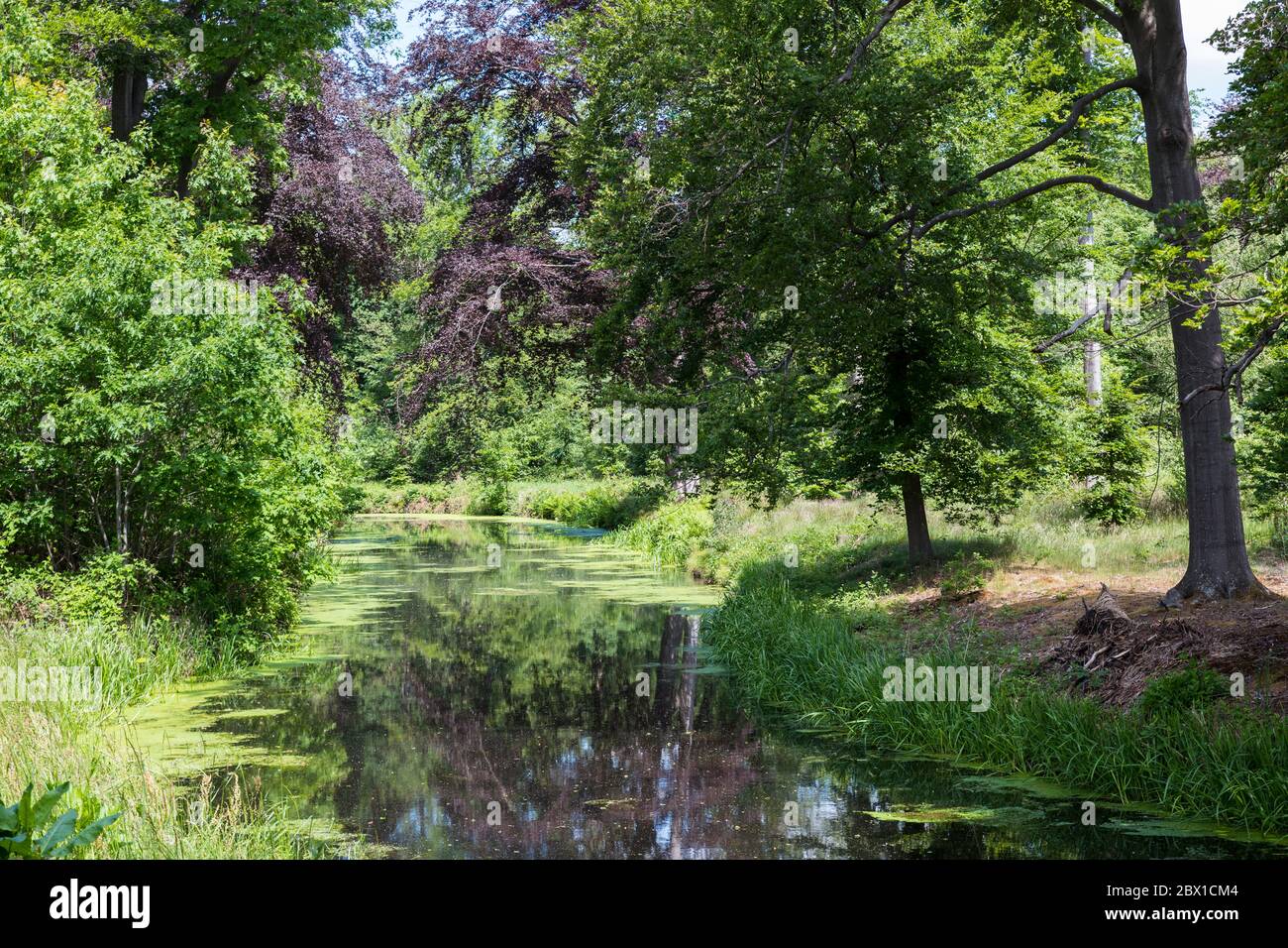 small river in holland with lots of green trees and a red beech Stock ...