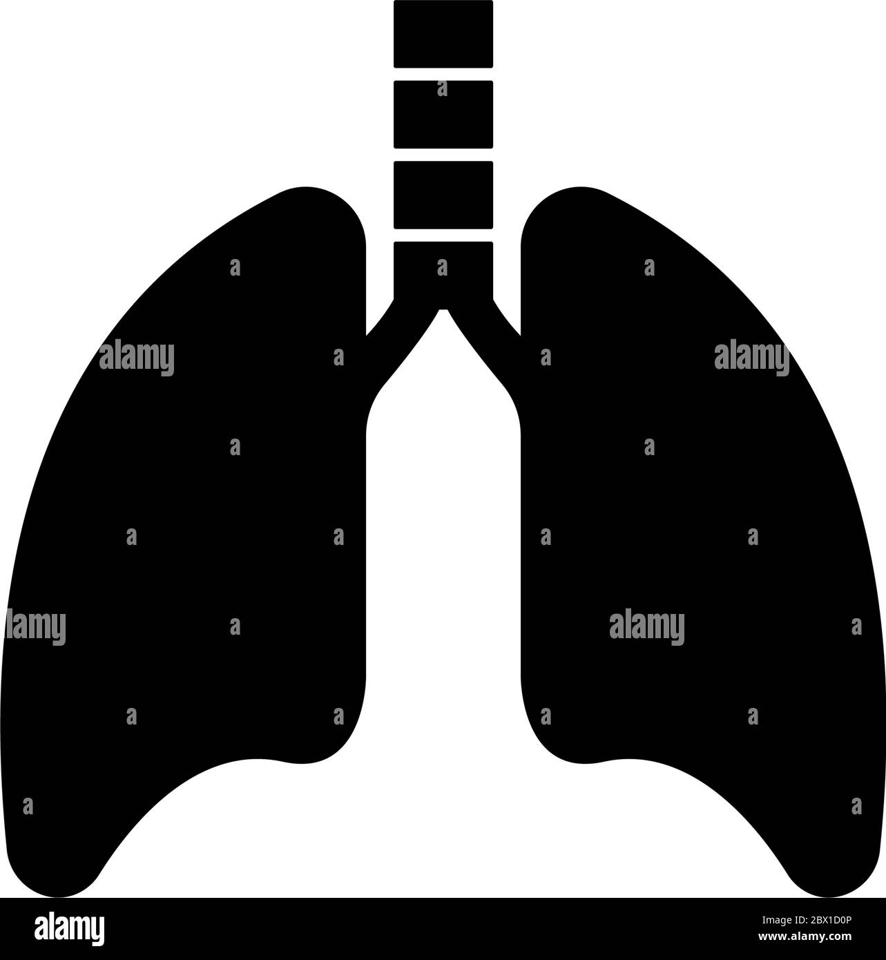 Lungs and Trachea, Human Respiratory Organ. Flat Vector Icon ...