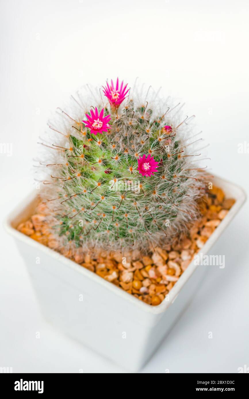 Light and tone hi-res stock photography and images - Alamy