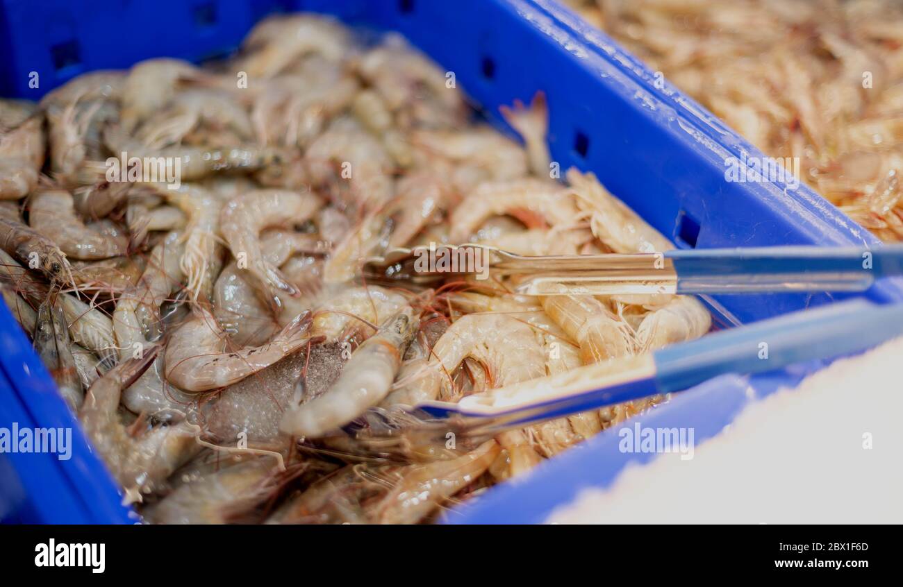 Shell clamp hi-res stock photography and images - Alamy