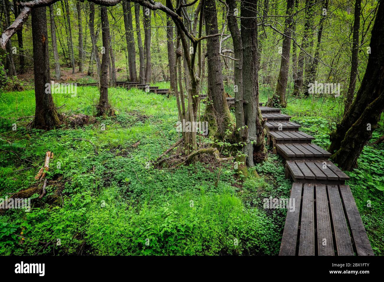Rural path denmark hi-res stock photography and images - Alamy