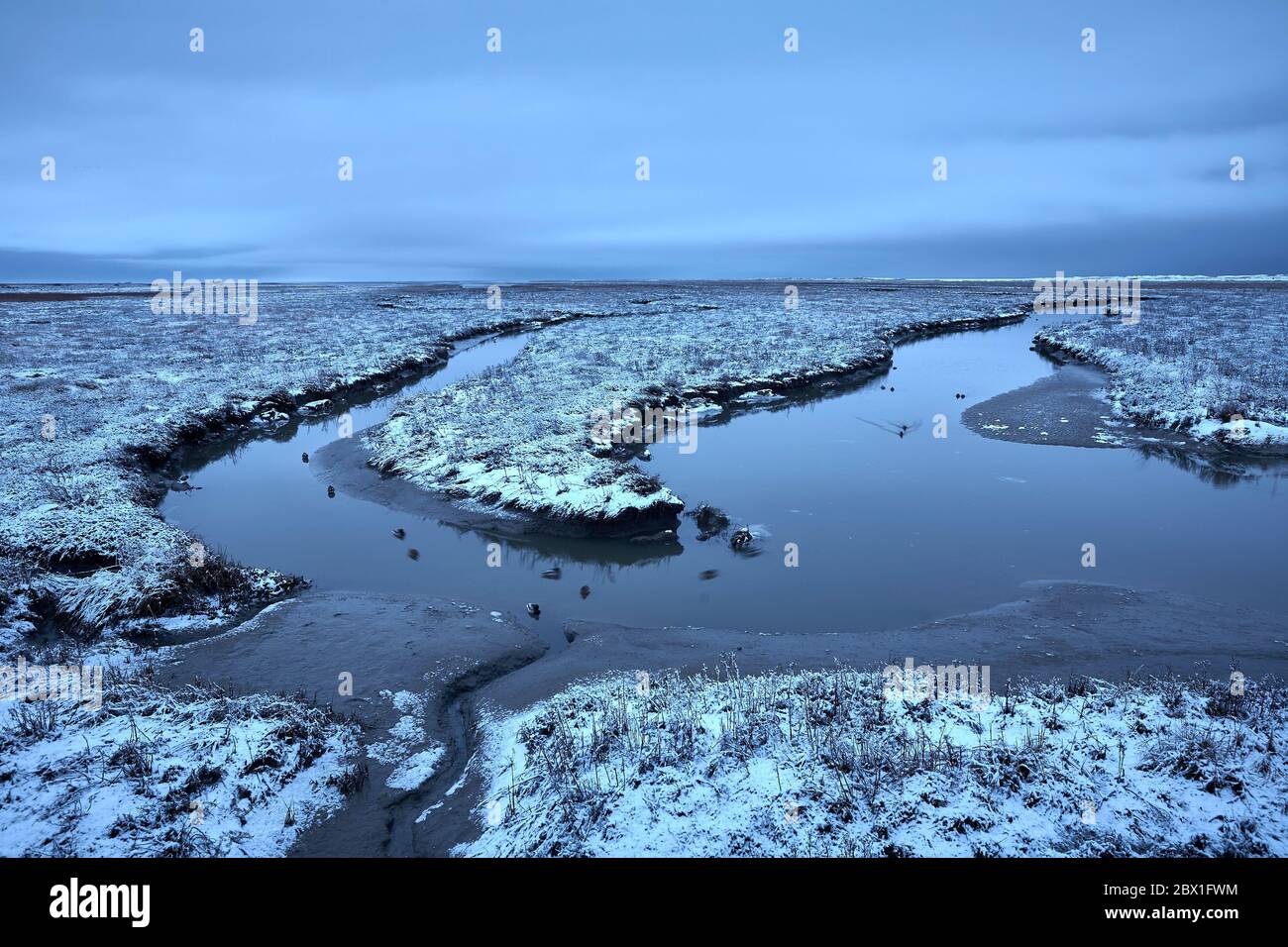 Salt meadows hi-res stock photography and images - Alamy