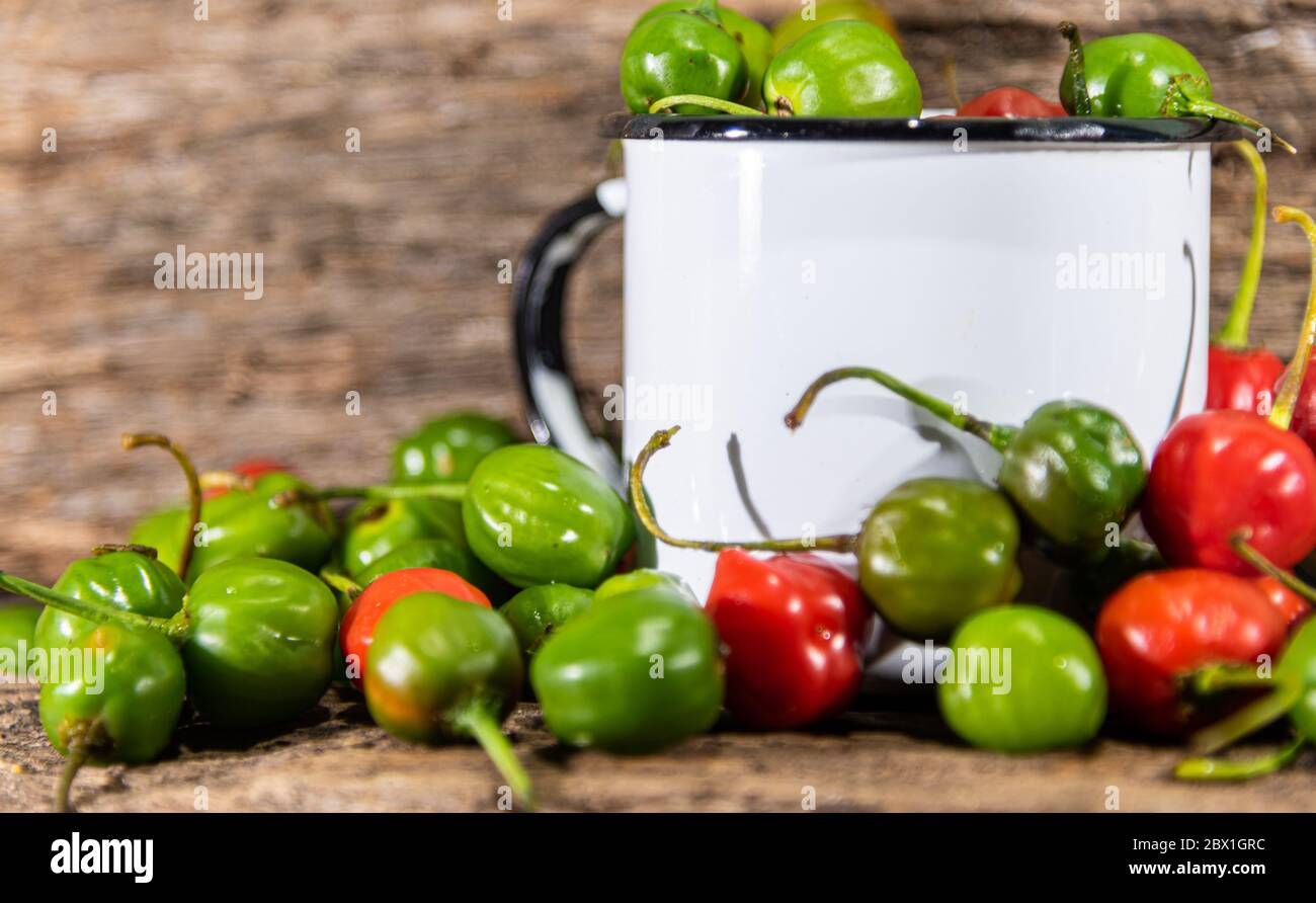 Goat peppers (Capsicum chinense). Spices in white metal mug. Culinary ...