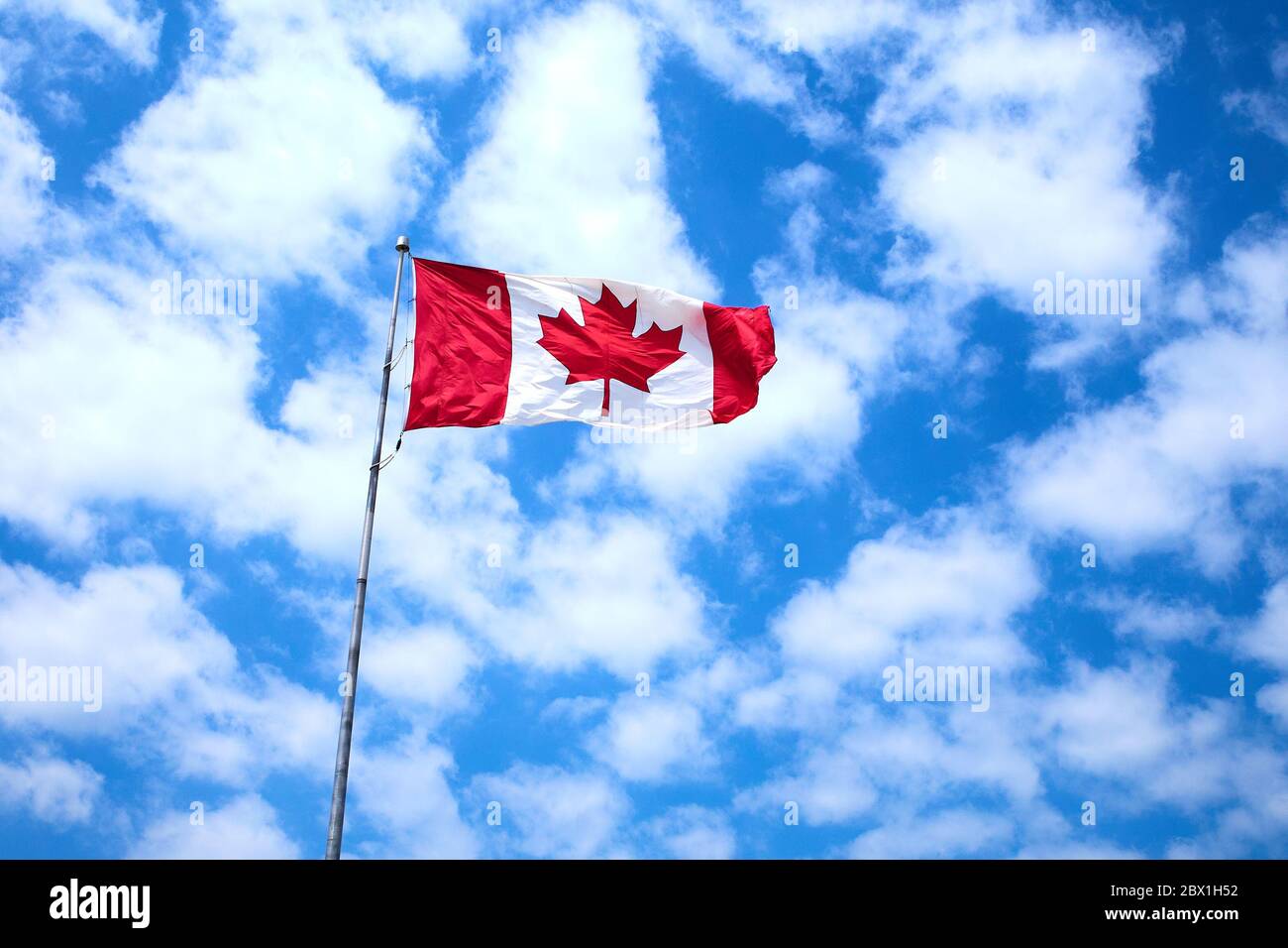 Large Canadian Flag flying proudly with beautiful blue and white sky ...