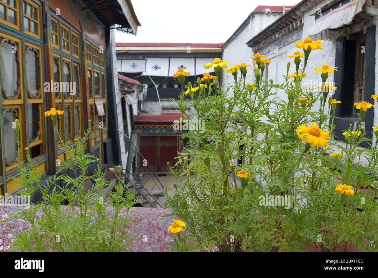 Lhasa, Tibet / China - August 20, 2012: Architectural detail and ...