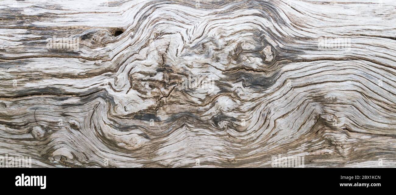Old Wood Tree Texture Background Pattern Stock Photo - Alamy