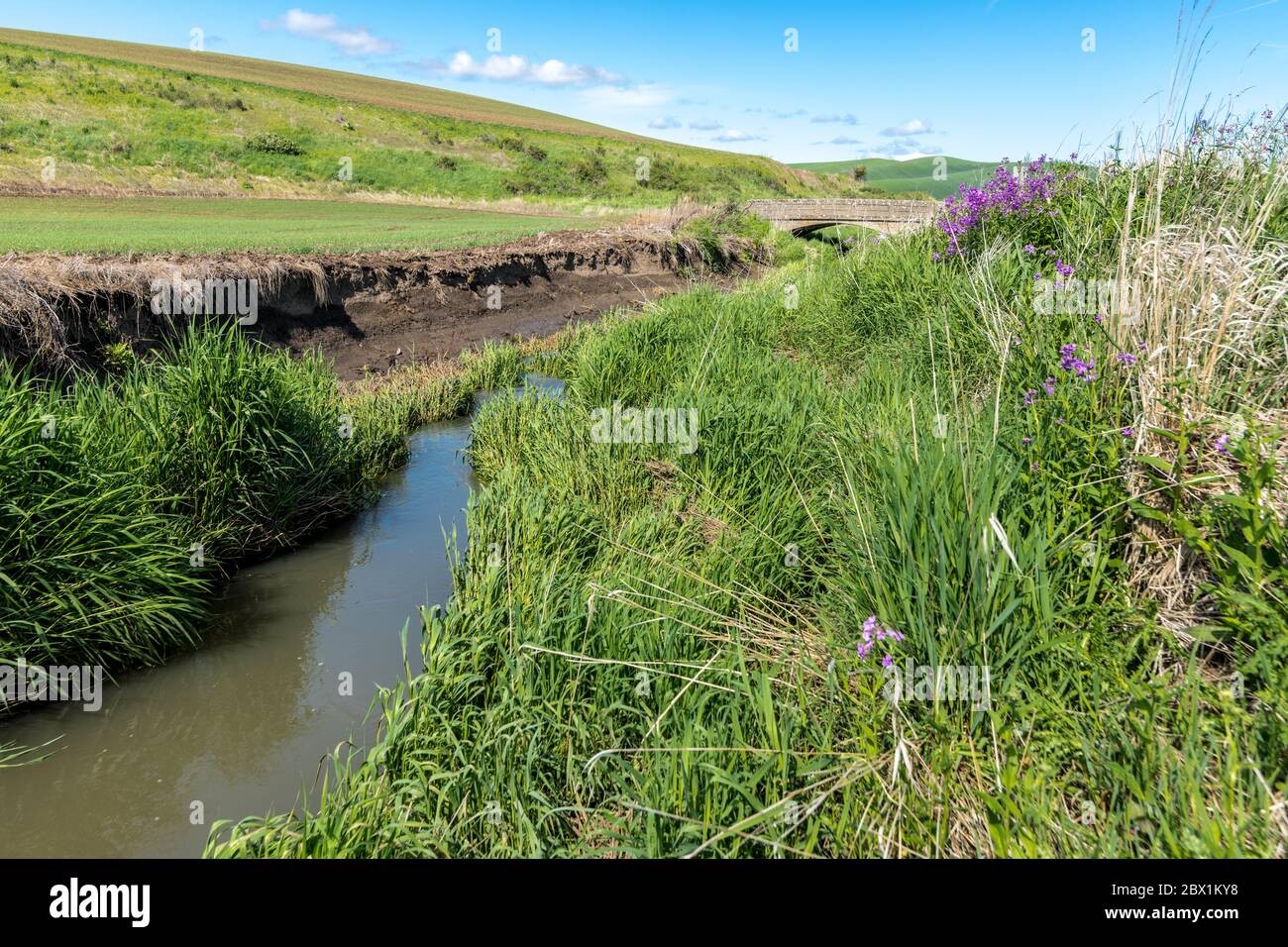 Palouse river bridge hi-res stock photography and images - Alamy
