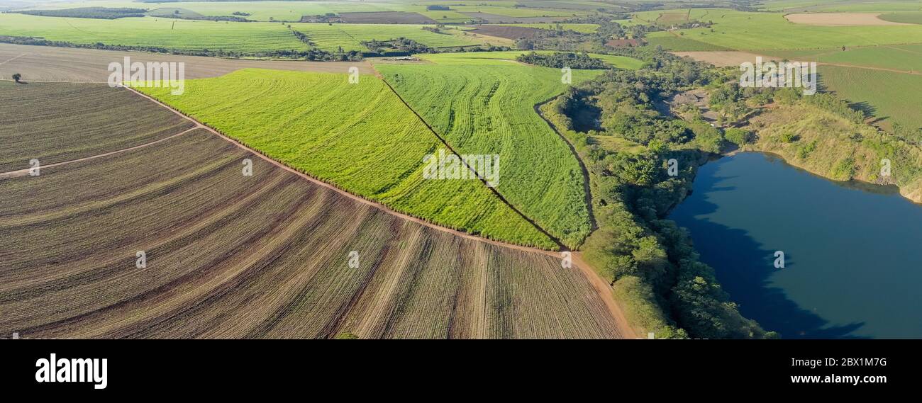 Aerial sugarcane field in Brazil and beautiful lake Stock Photo - Alamy
