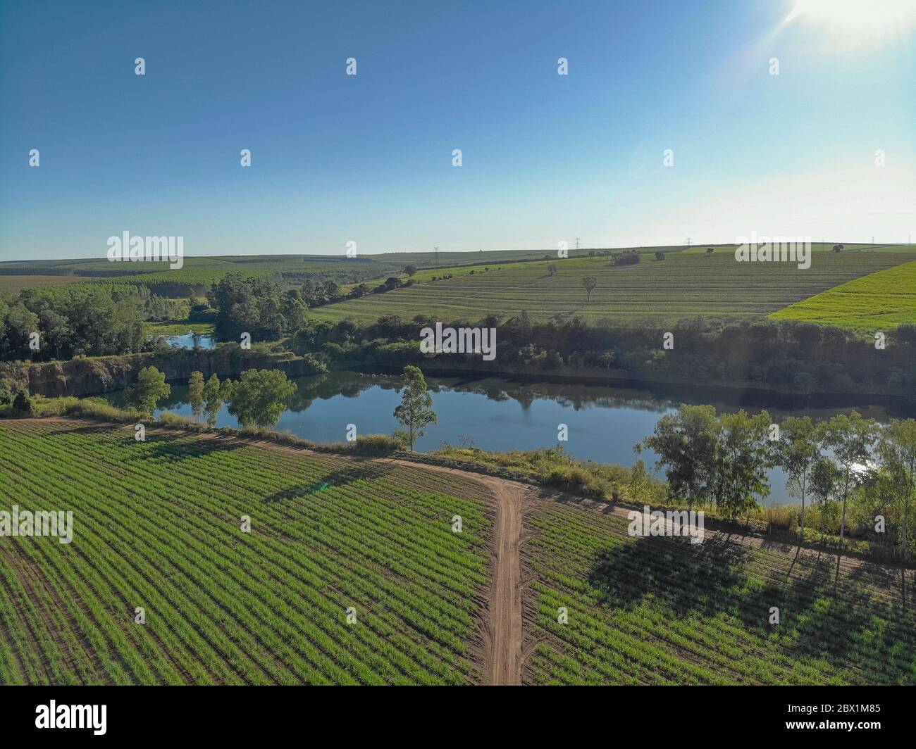Aerial sugarcane field in Brazil and beautiful lake Stock Photo - Alamy