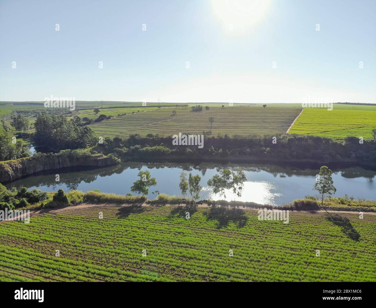 Aerial sugarcane field in Brazil and beautiful lake Stock Photo - Alamy