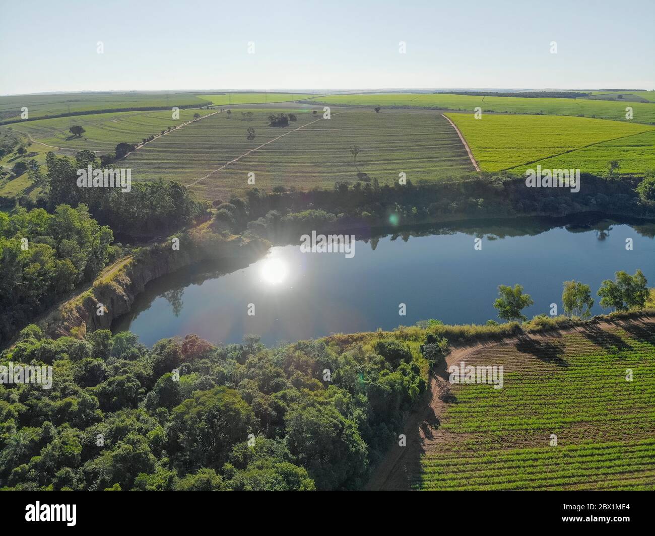 Aerial sugarcane field in Brazil and beautiful lake Stock Photo - Alamy