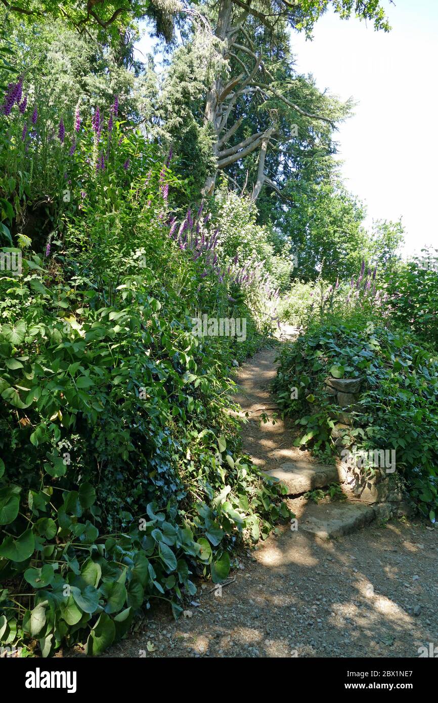 Parke, Bovey Tracey, Devon, U.K Stock Photo - Alamy